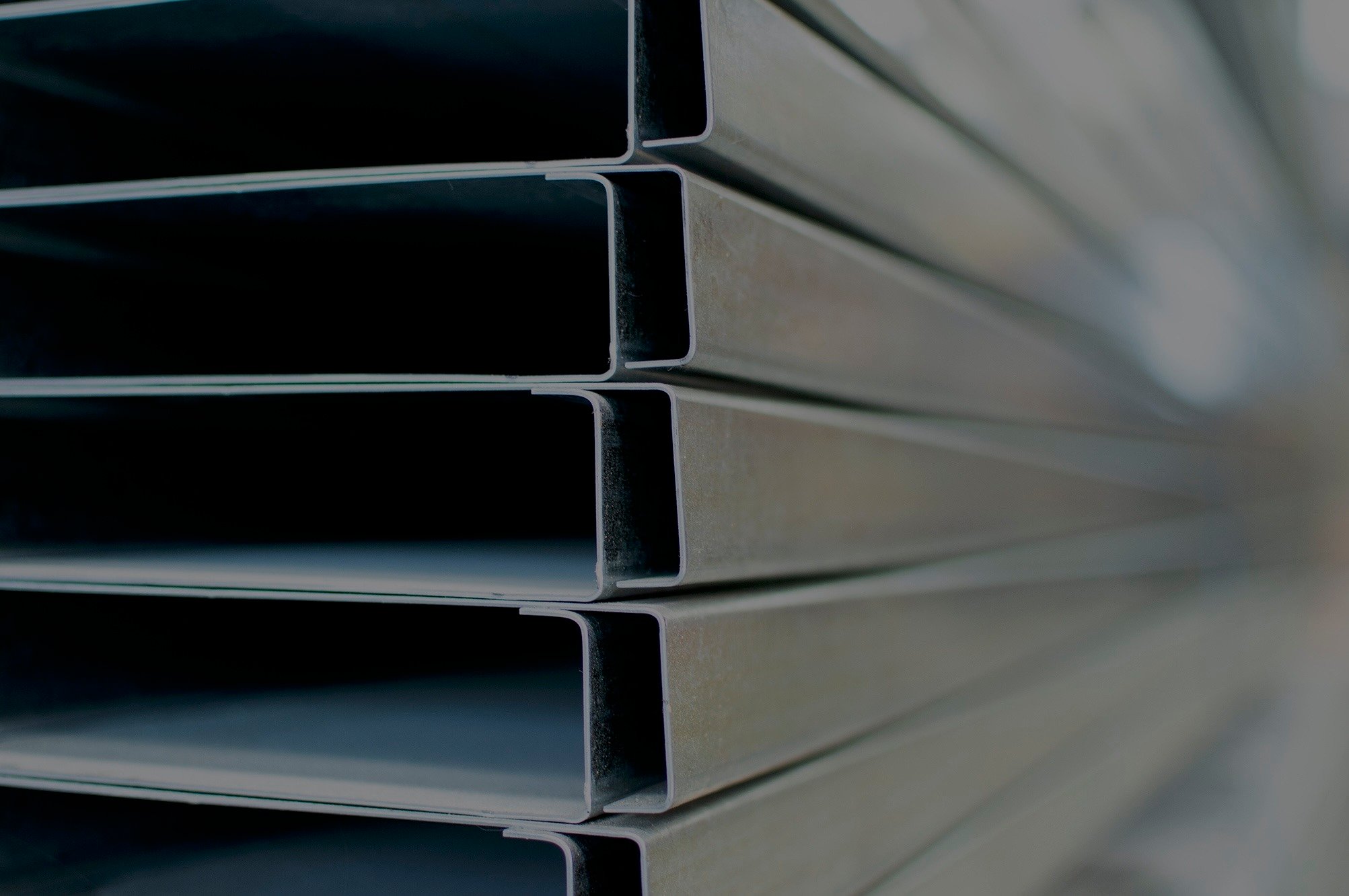 La Foresta En Seco | Tromen